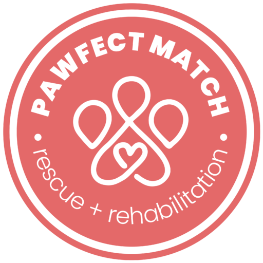 Pawfect Match – Another MLS Webstore