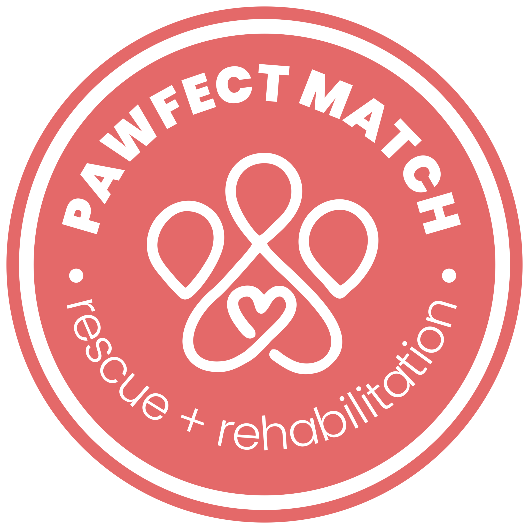 Pawfect Match – Another MLS Webstore