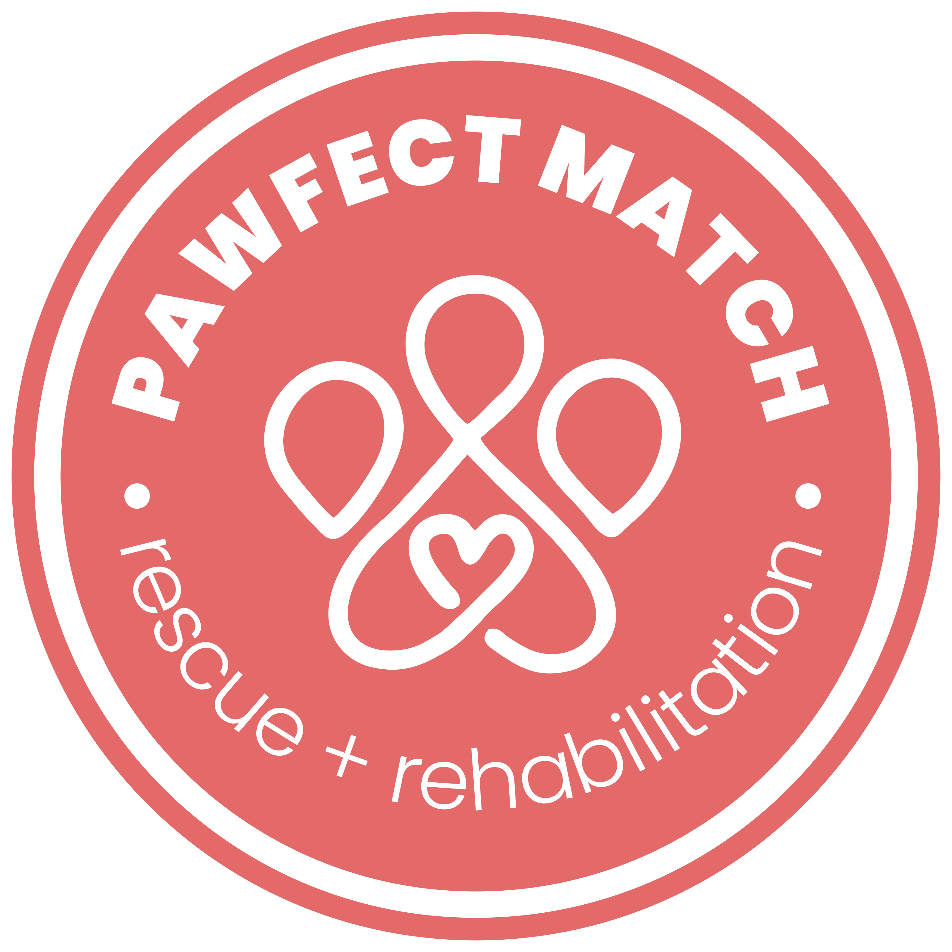 Pawfect Match – Another MLS Webstore